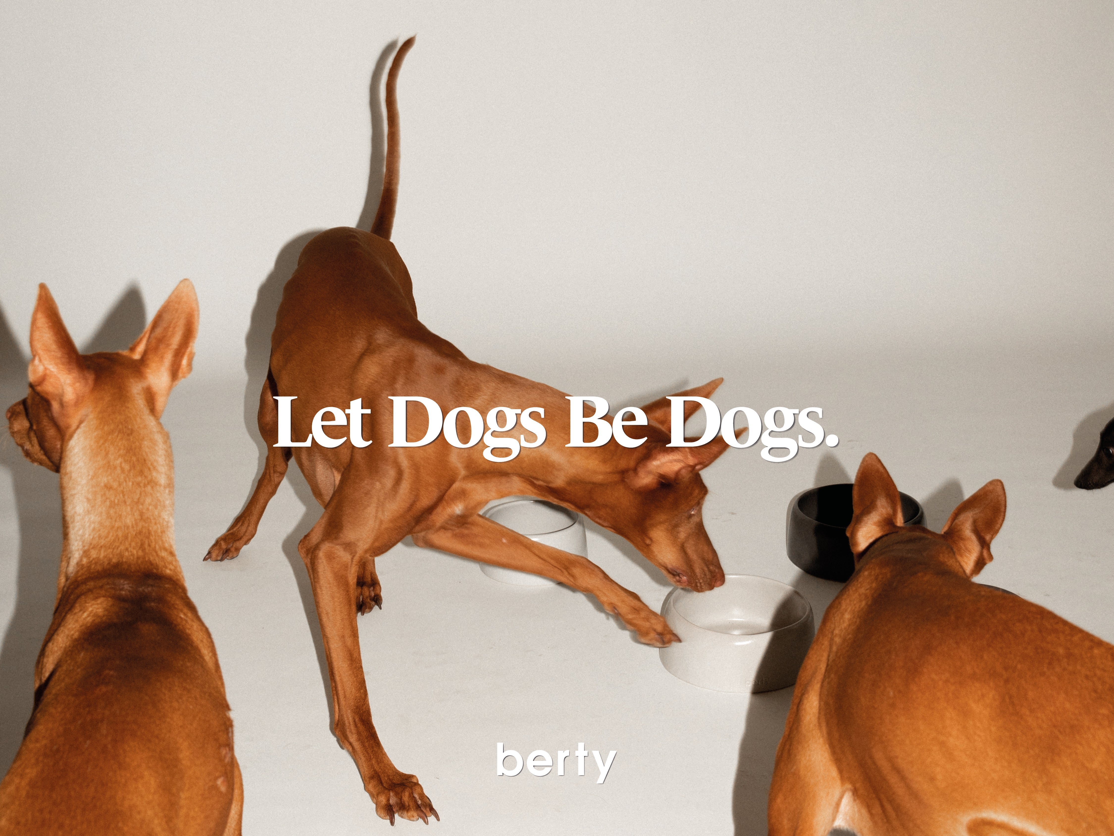 Let Dogs be Dogs - Nowa kampania berty